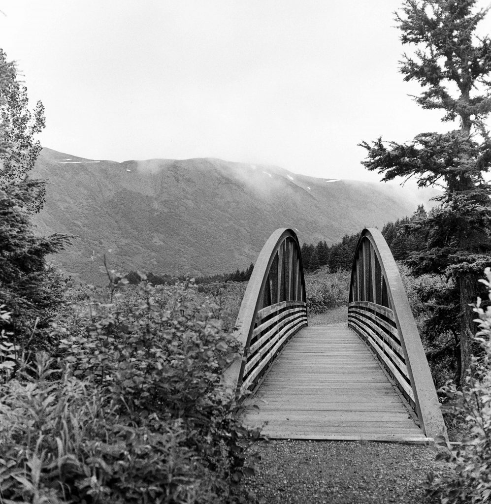 Bridge – Alex Watts